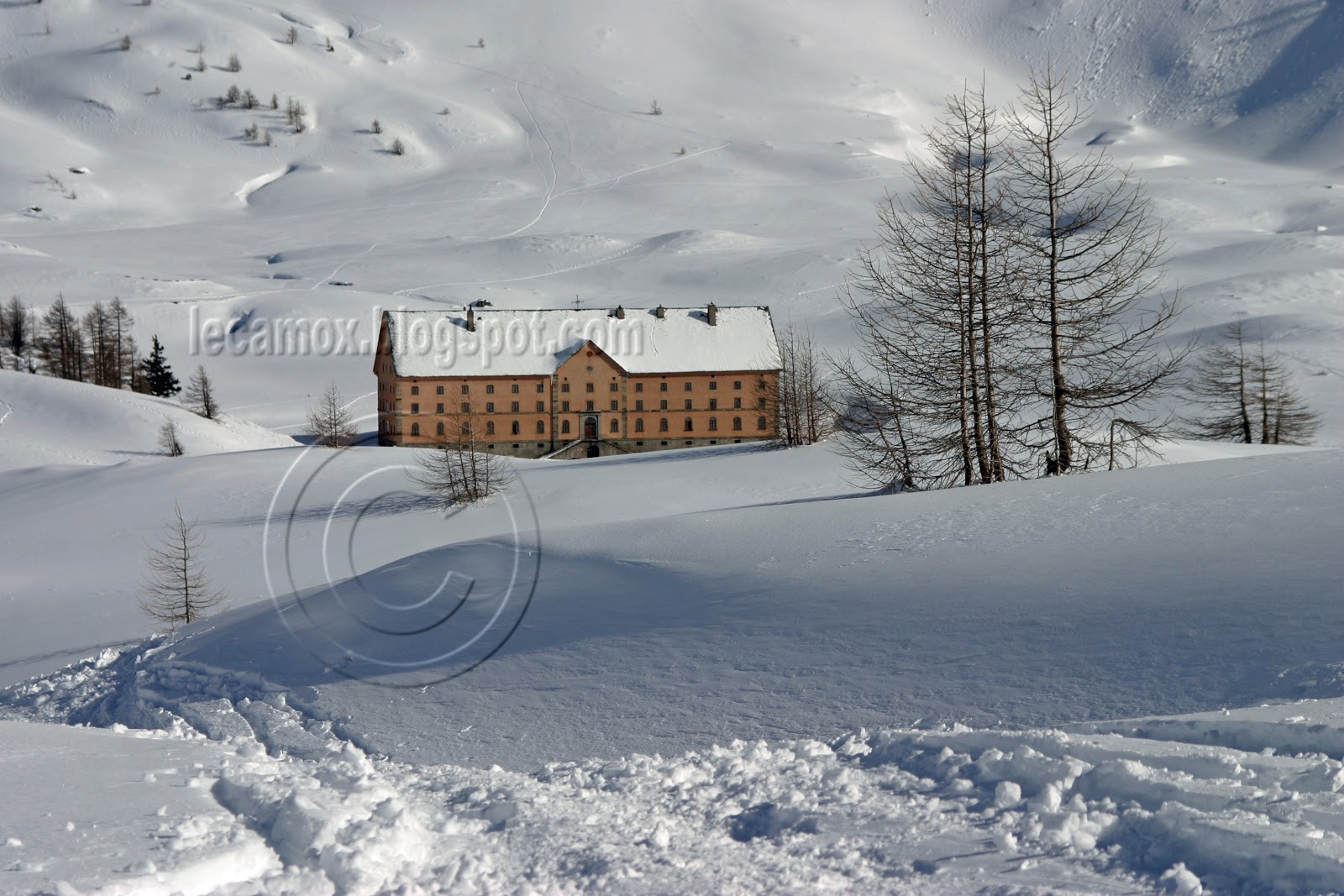 L'univers du Camox: Staldhorn, depuis le col du Simplon