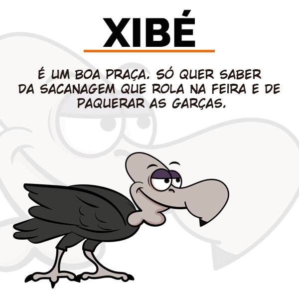 As Aventuras de Pitiú e Xibé: PERSONAGENS