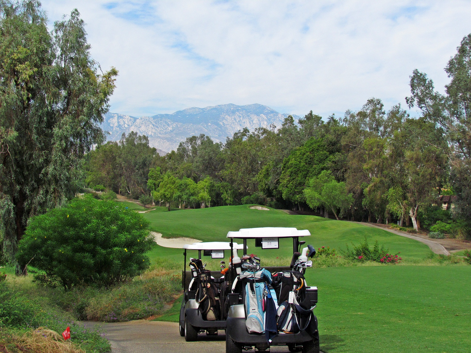 Patchwork Garden: Plants at the Golf Course....