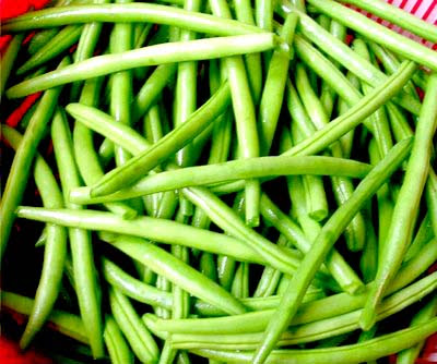 Benefits of String Beans | Herbal Medicine and Nutrition