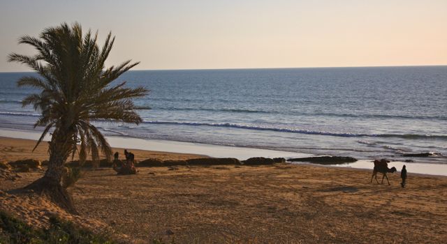 Euro Odyssey: Blue Rocks and the Moroccan Surf Coast
