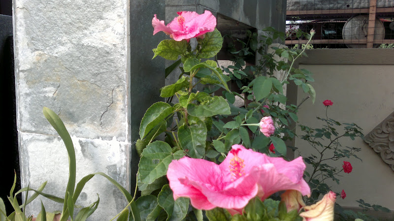 SEKILAU one: Dalam pasu ada bunga