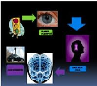 teoria del conocimiento: EL INTELECTUALISMO: