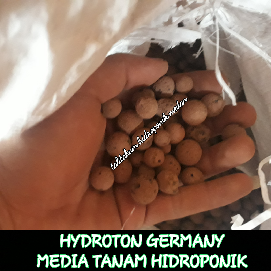 Jual Peralatan dan Kebutuhan Hidroponik Di Medan | TALITAKUM INDONESIA