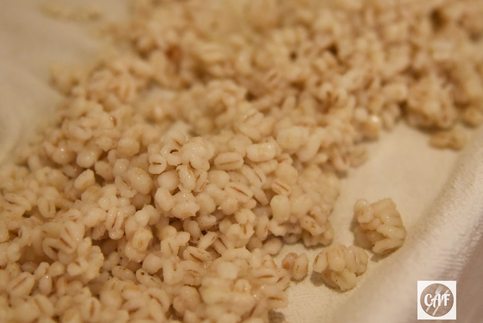 Creating a Foodie: an honest-to-goodness kitchen experience