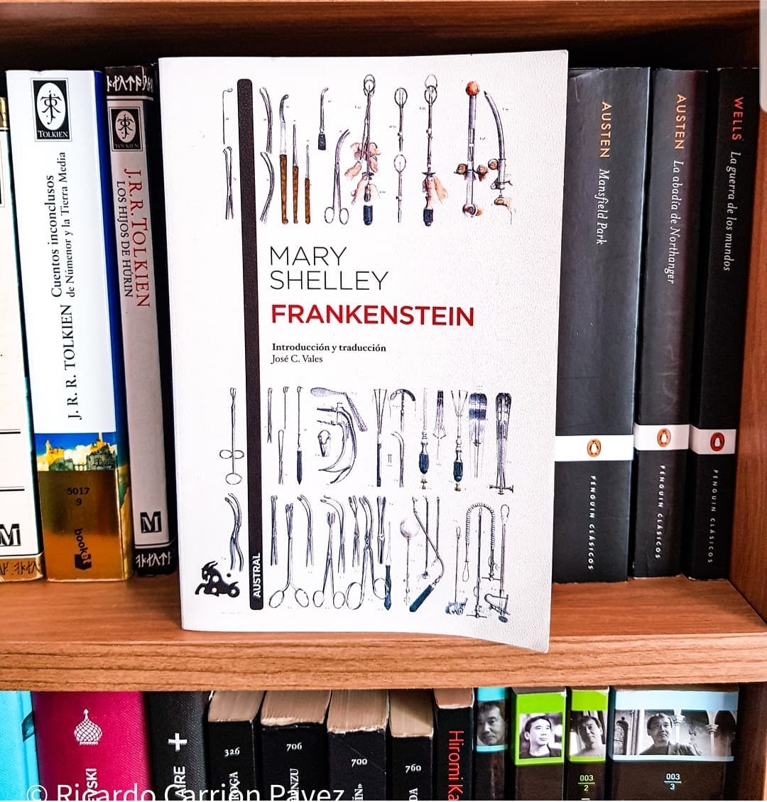 Elige un libro: Reseña y Análisis libro: Frankenstein (Mary Shelley)