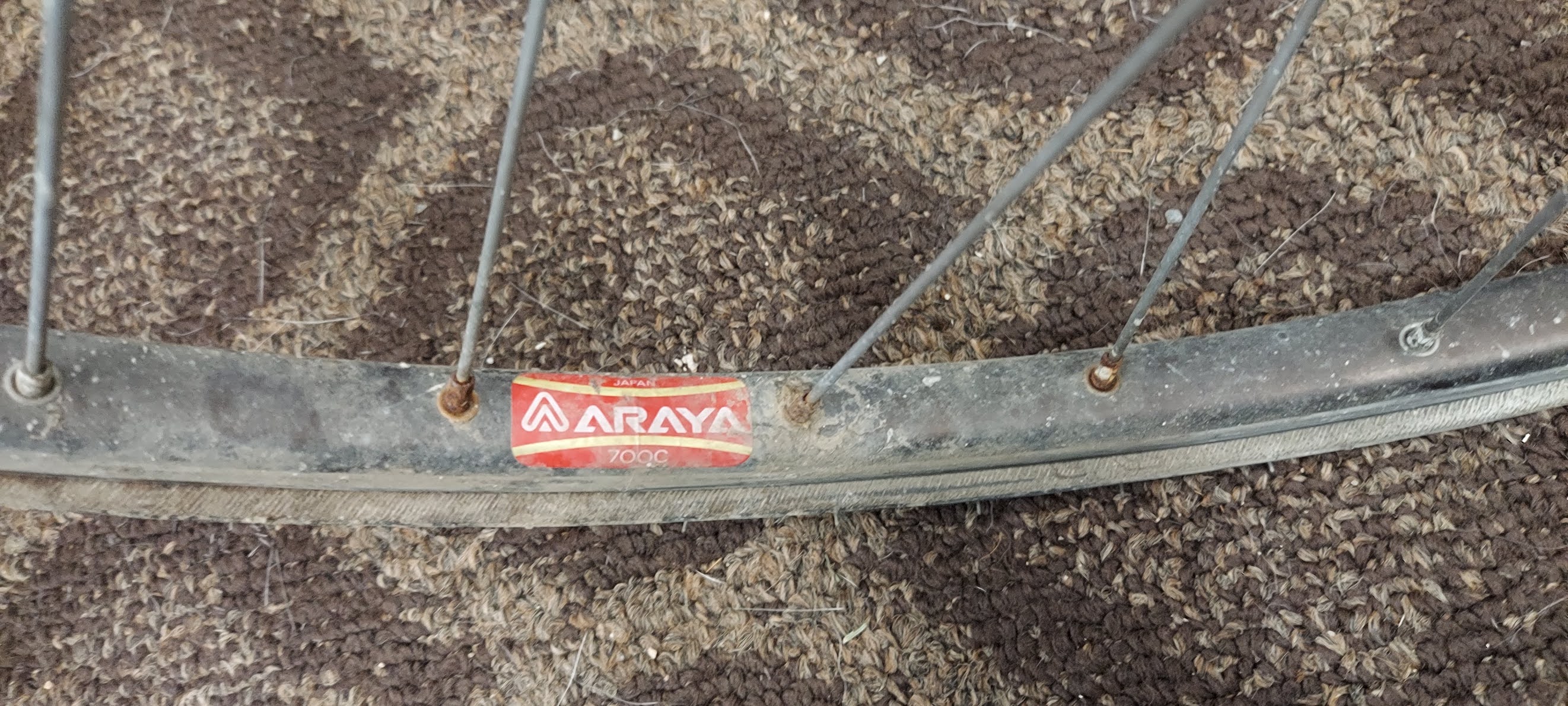 Spud's blog: Beater road bike - Novara Trionfo