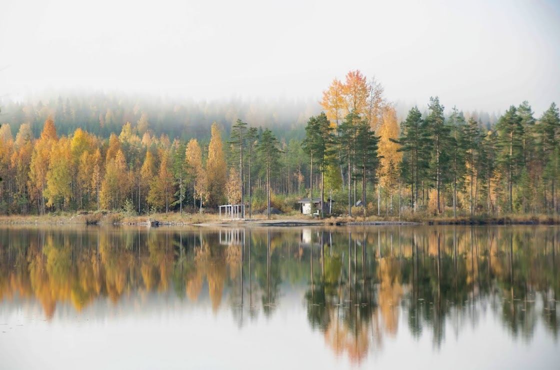 Punkkari punavarpunen pörhistelee daamilleen