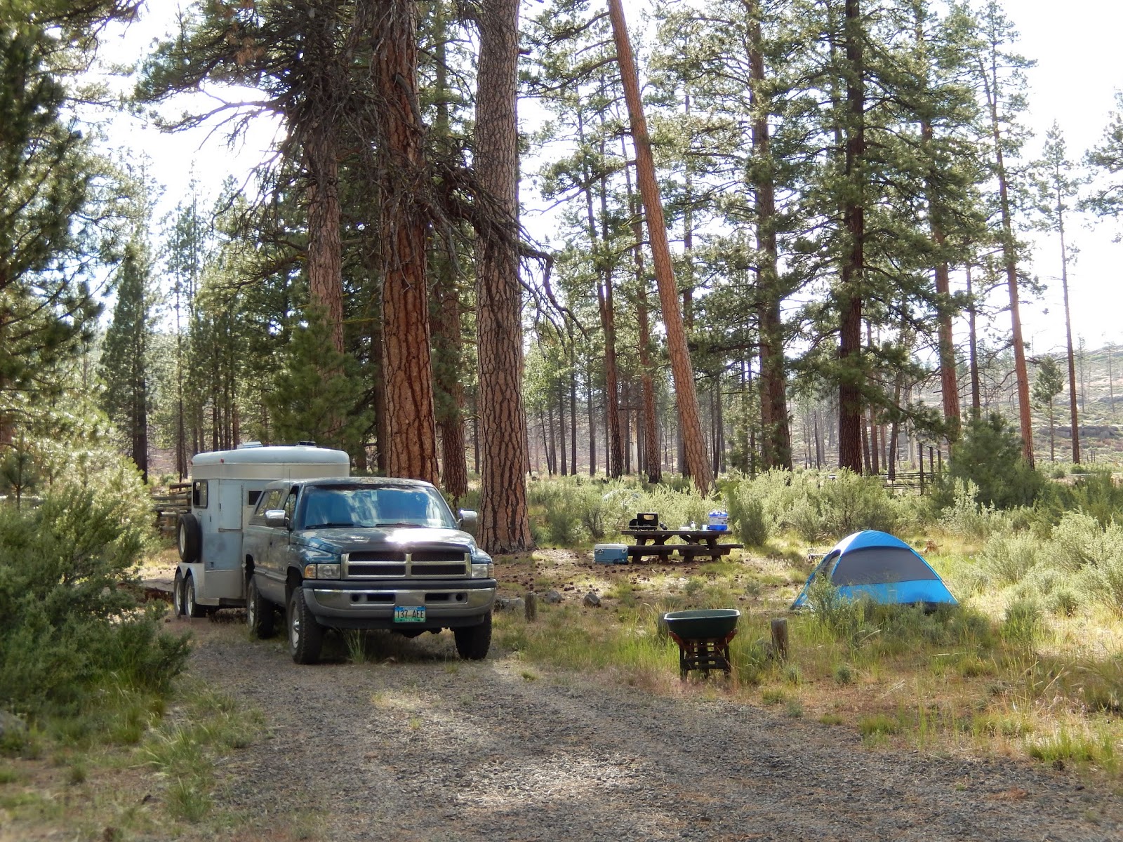 Holly's Horse Tales and Trails: Silver Creek Marsh and Farm Well Horse ...