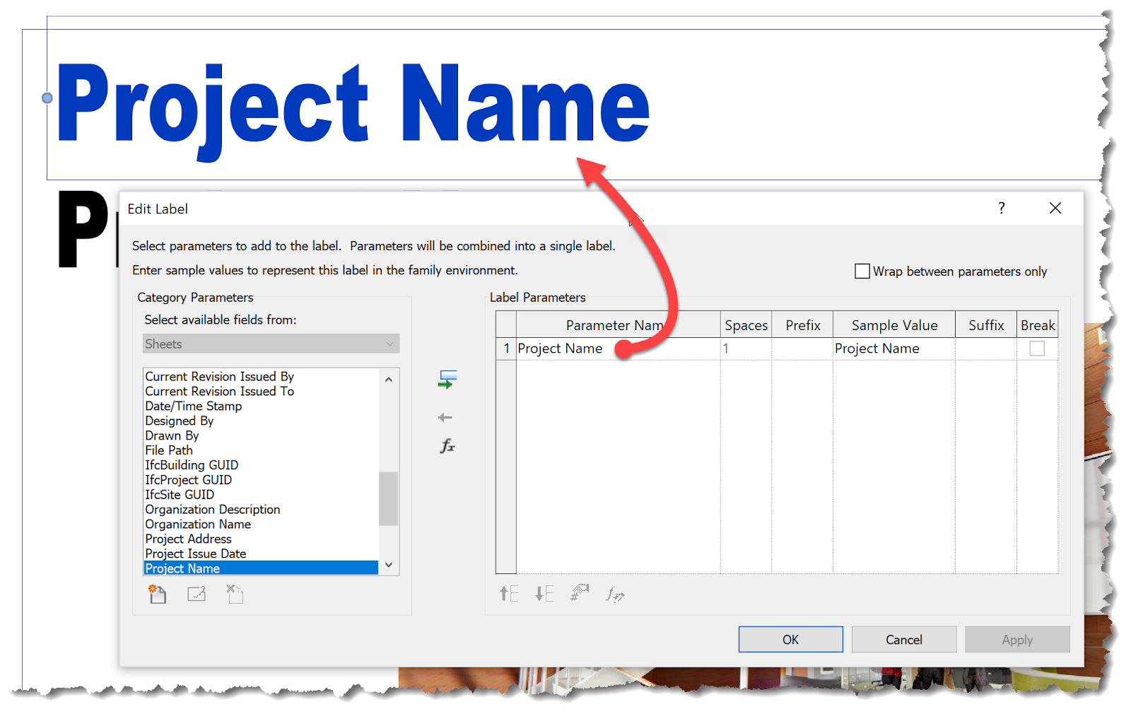 BIM Chapters: Revit Starting View and Titleblock Re-purposing