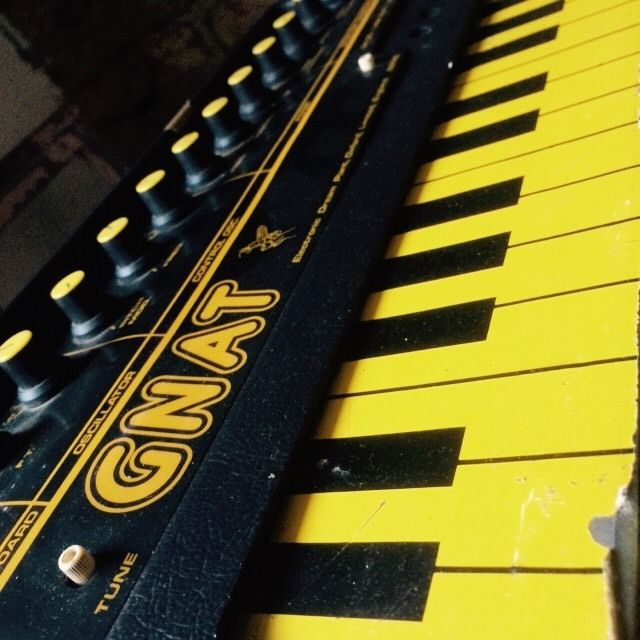 MATRIXSYNTH: EDP GNAT SN 401335