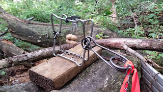 Eaton Rapids Joe: 110 Body-grip (that is, Conibear) traps for squirrels