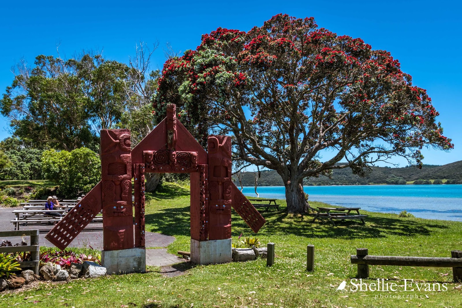 Two Go Tiki Touring: History at Houhora Heads