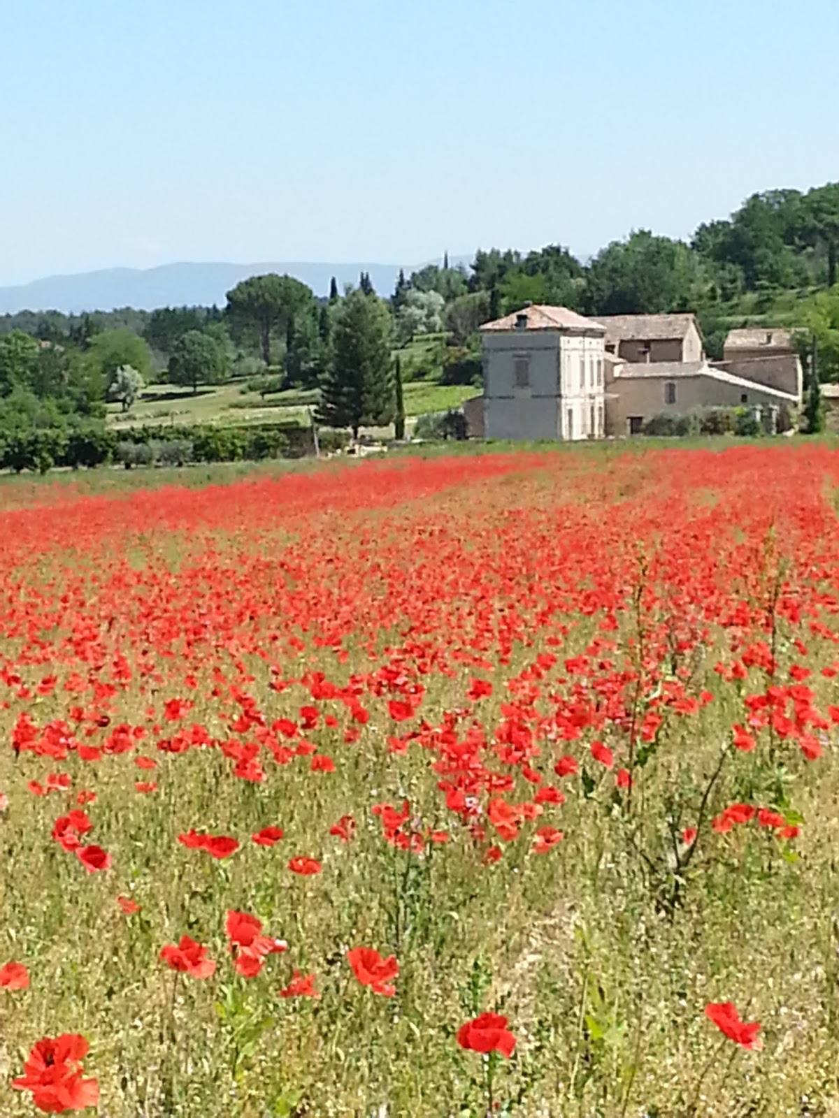 Saint Remy de Provence and Around: May in Provence