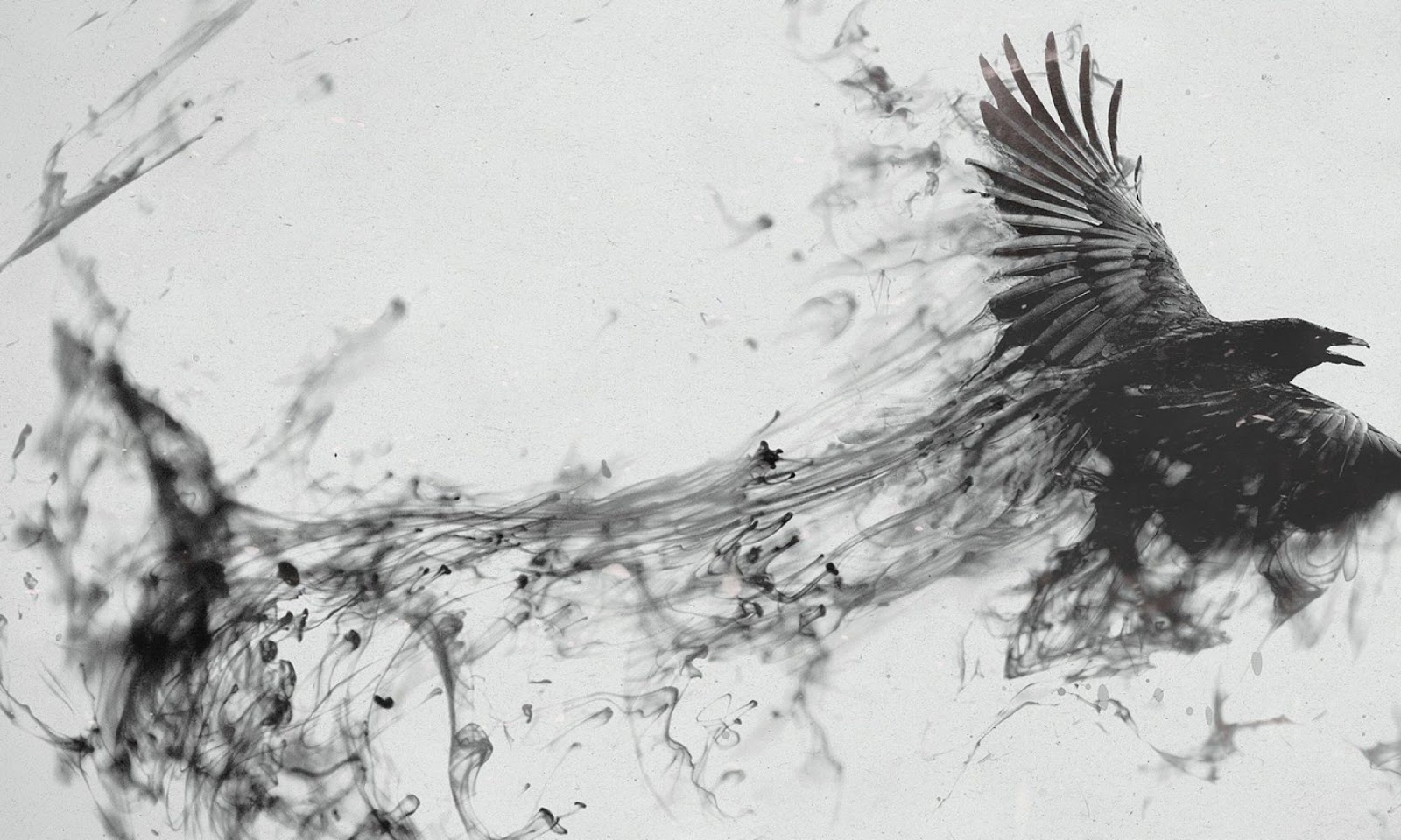 The Glass Character: The lost Lenore