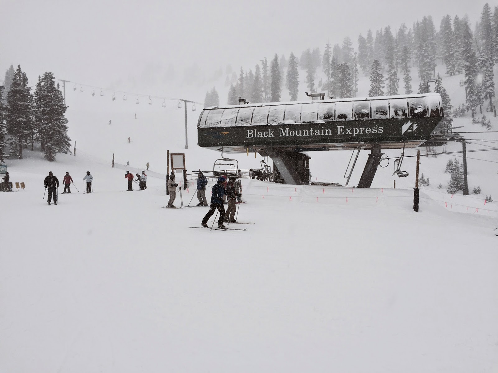 Al's Blog: Snowing Again