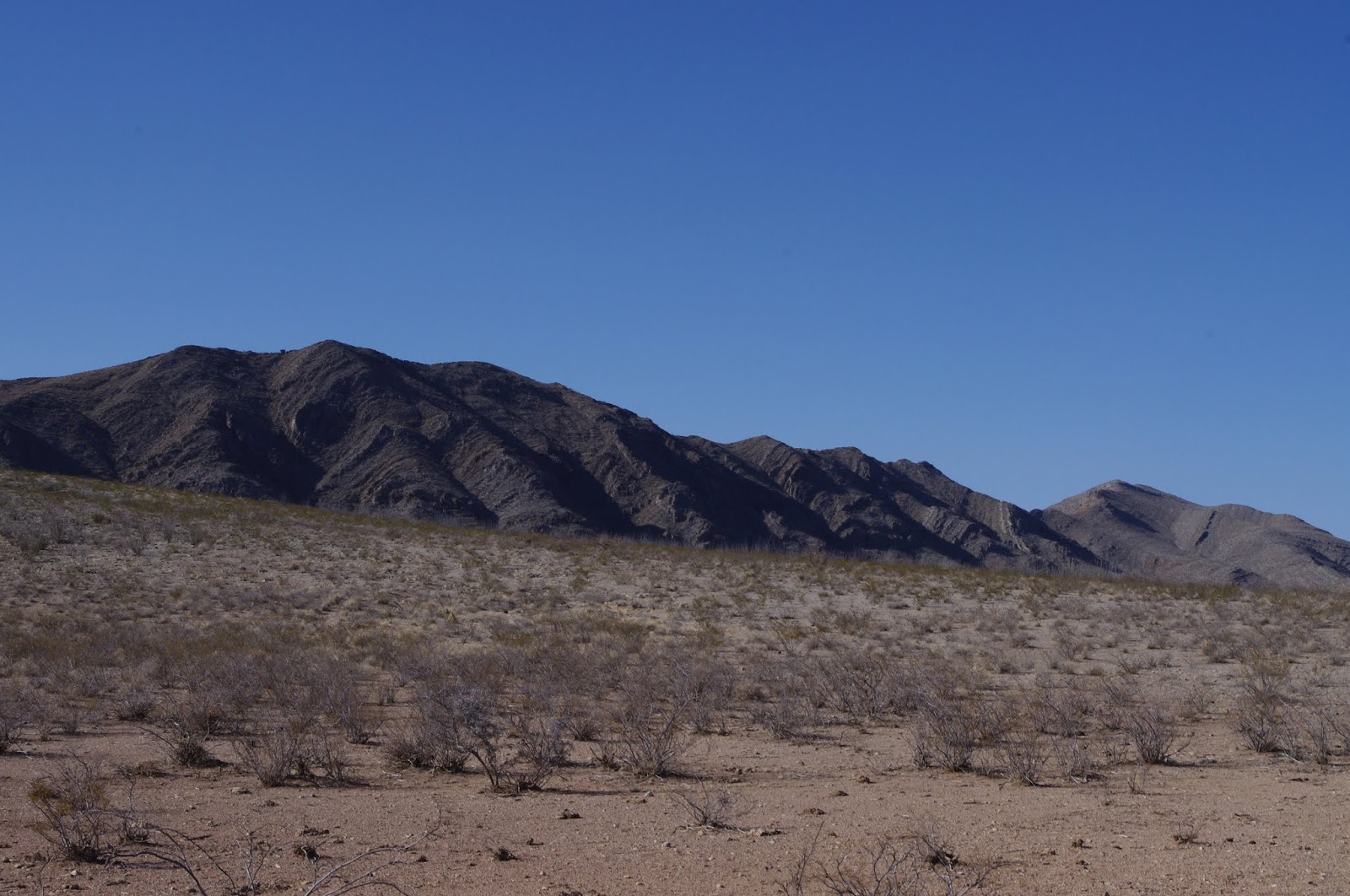 Southern New Mexico Explorer: Palomas Gap - Caballo Mountains
