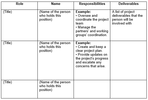 Using Roles and Responsibilities Template in Project Management ...