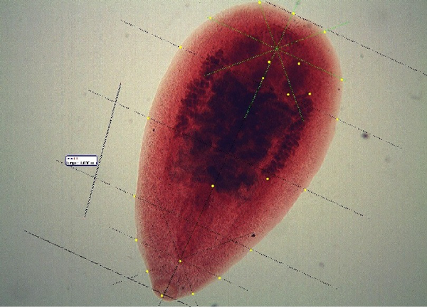 Visitantes: Alejandra Aguilar