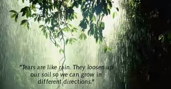 25+ Happy Rain Quotes