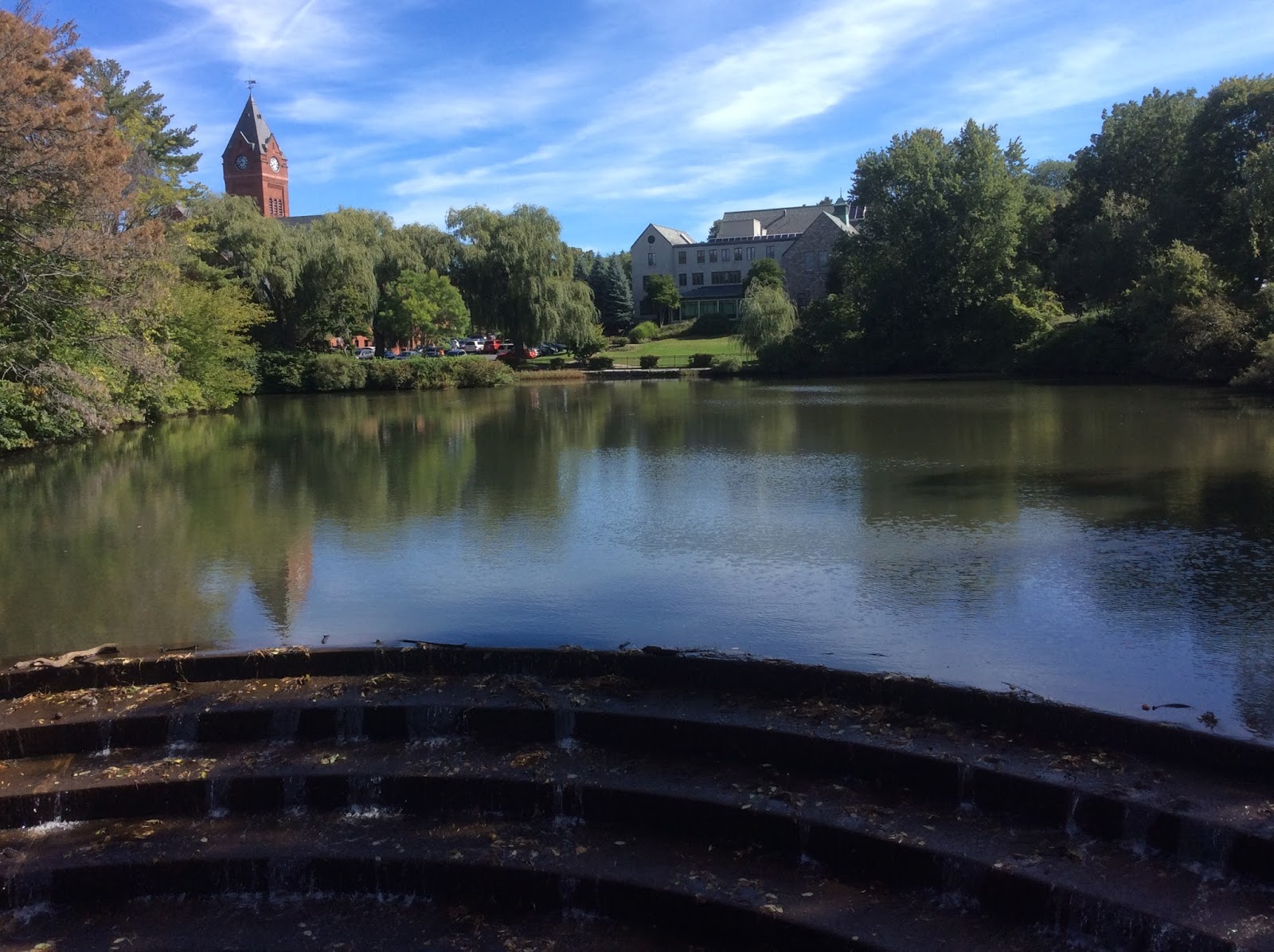 Life From The Roots: Winchester Public Library, Winchester ...