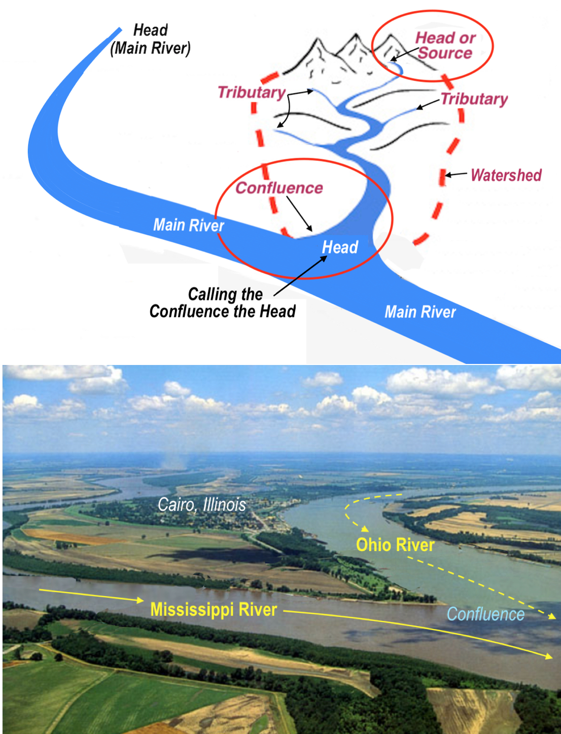 NephiCode: September 2020