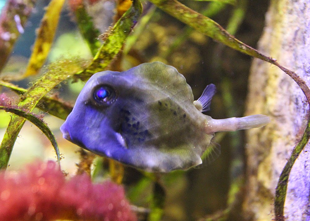 Exhibit Galleries Blog