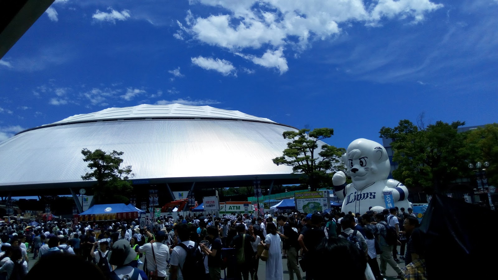 Graveyard Baseball: NPB Stadium Review: MetLife Dome