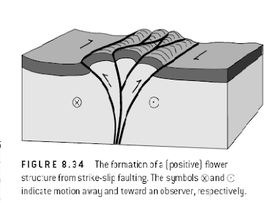Extension flower struktur | Geologist Nyasar