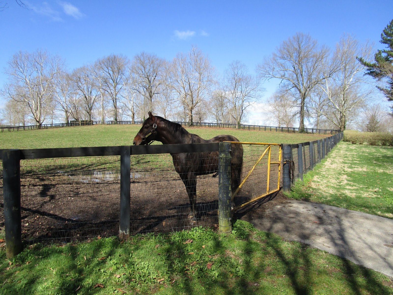 Spretnak The Blog: Claiborne Farm and Secretariat's Grave