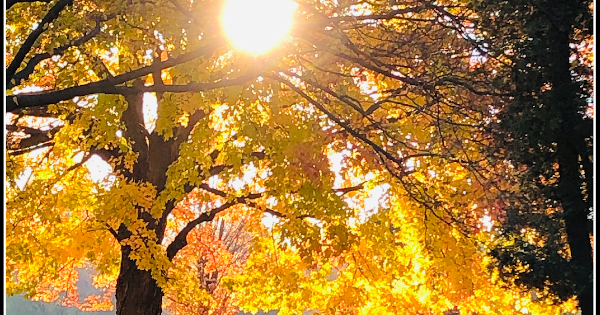 Stumbling Towards Perfect