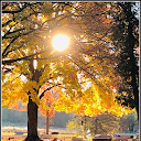 Stumbling Towards Perfect