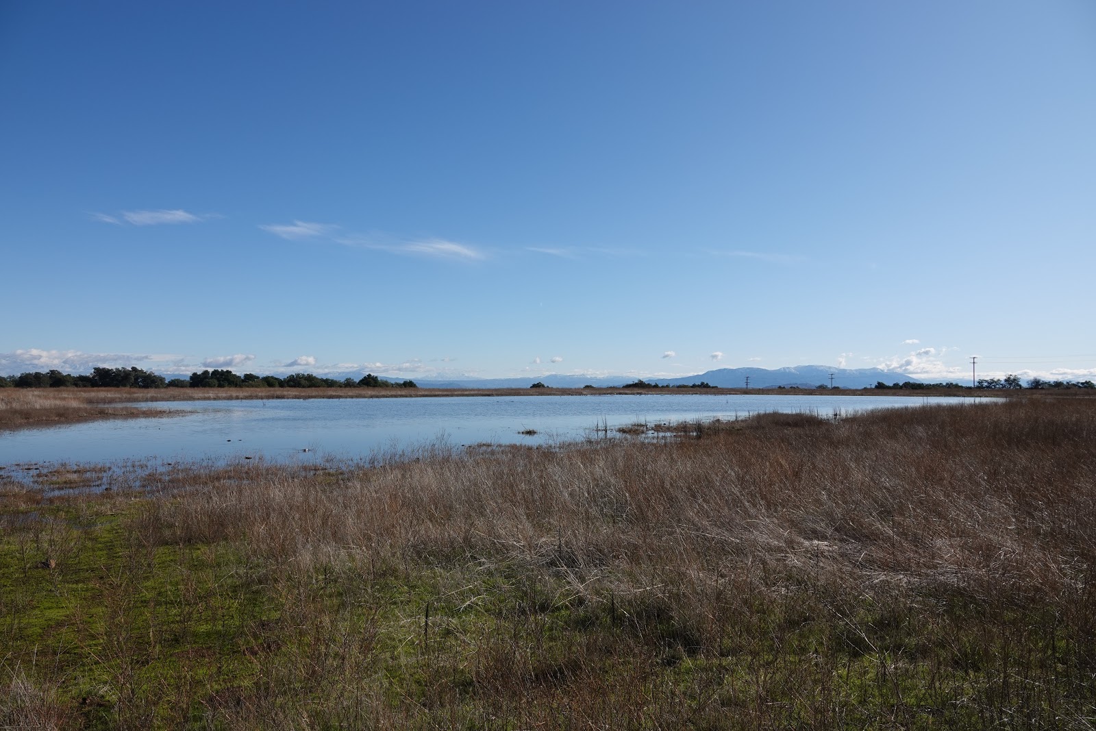 Looking for Vernal Pools: Santa Rosa Plateau Pools