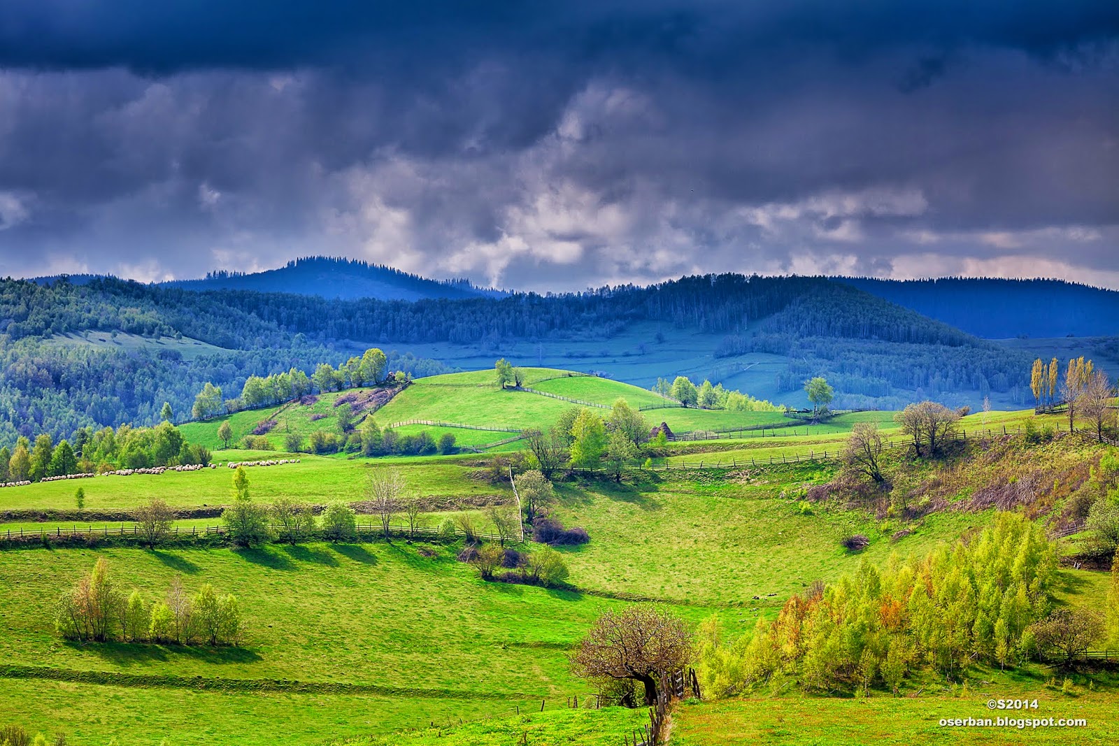 Octavian Serban: Somewhere in Romania...spring time...