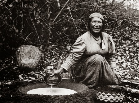 Wild Harvests: Percolation leaching Red Oak acorns