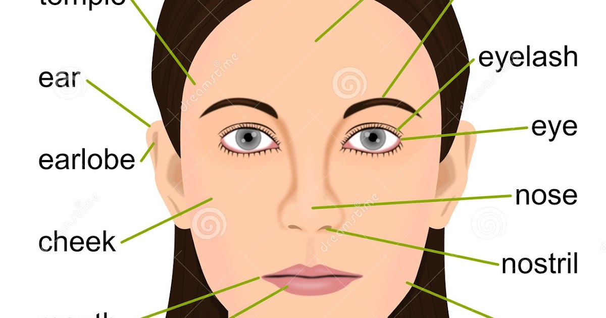 Vision English Learning Club-Freedom of Speech+923335619597: Human Body ...