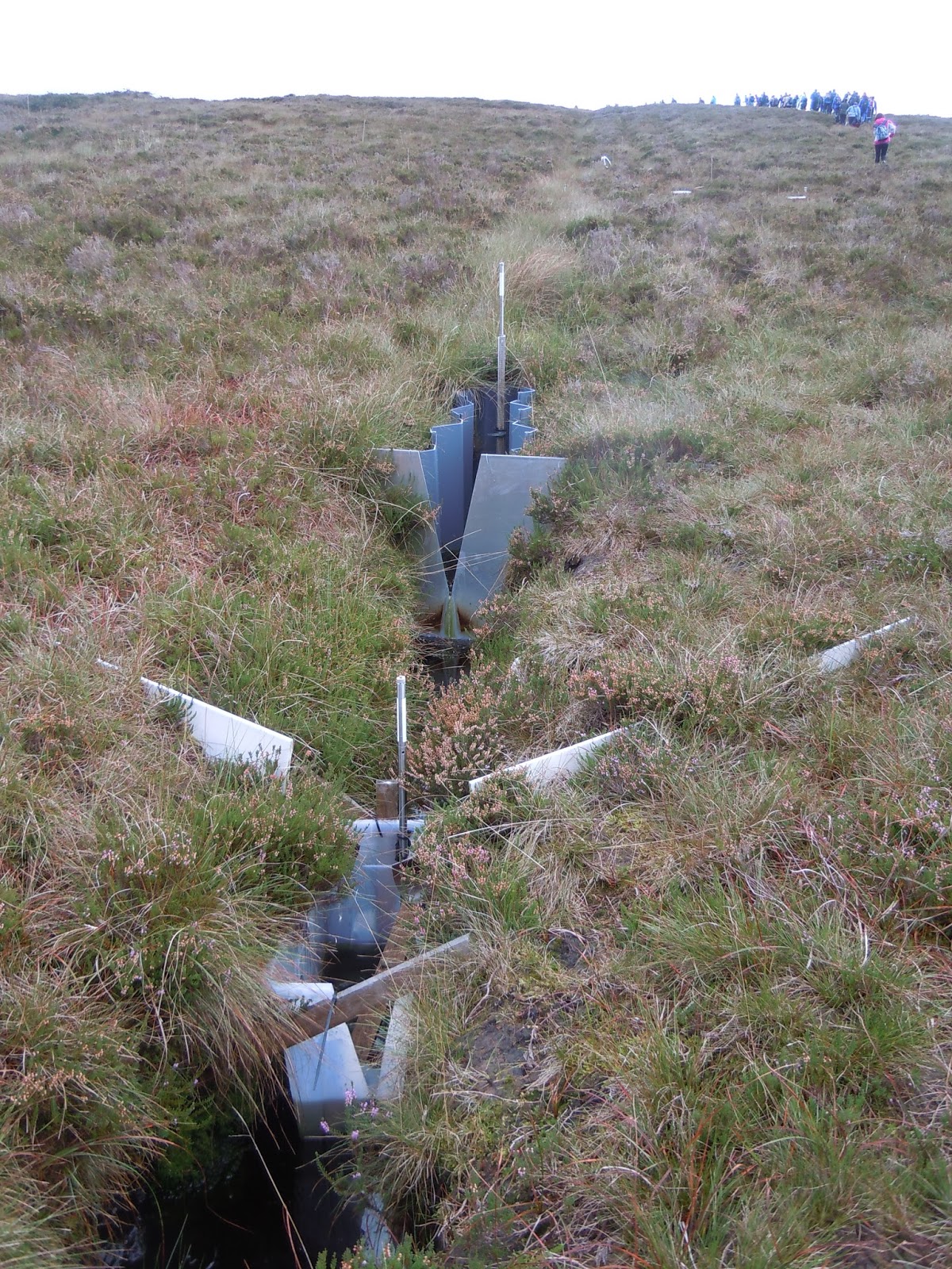 The Wetland Conservation Diary (UK): Tale of the two peatlands! Cord ...