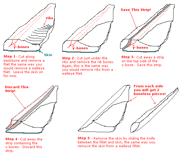 Sussex County Fisherman: Filleting a Esox Americanus (Pickerel)