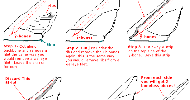 Northern Pike Y Bone Diagram - Wiring Site Resource