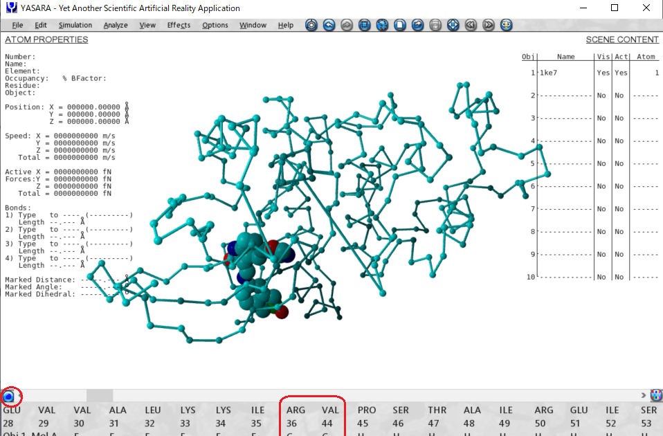 YASARA : ループモデリングについて-Affinity Science Blog/.org