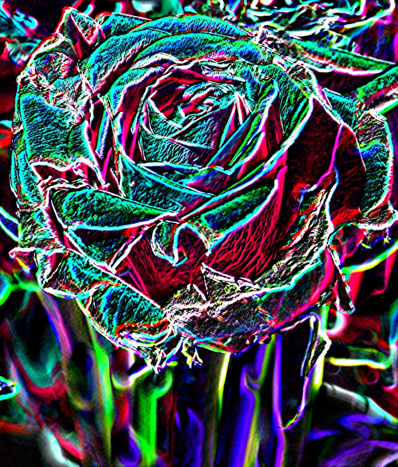 Beauty of my Art: Neon Rose