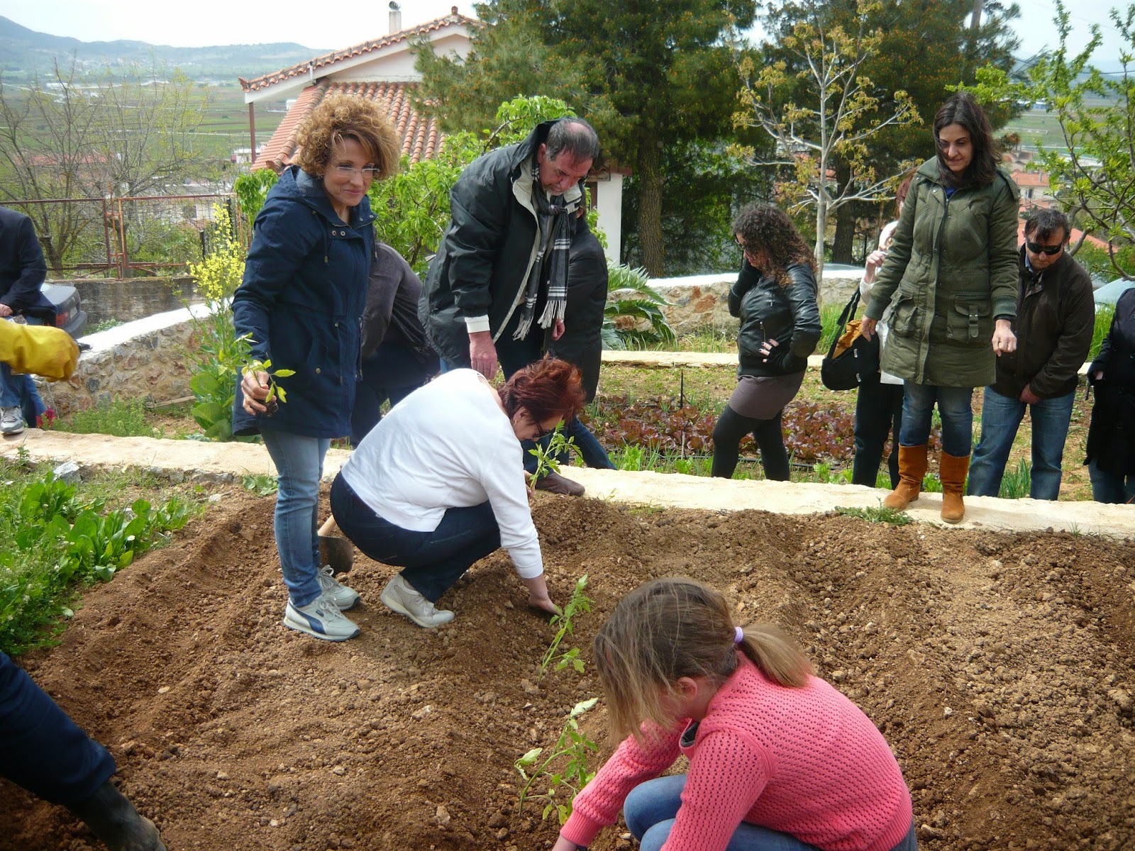 ΣΧΟΛΙΚΟΙ ΛΑΧΑΝΟΚΗΠΟΙ : ΟΙ ΚΗΠΟΙ ΤΩΝ ΣΧΟΛΕΙΩΝ ΤΗΣ Δ/ΣΗΣ Β/ΘΜΙΑΣ ΕΚΠ/ΣΗΣ ...