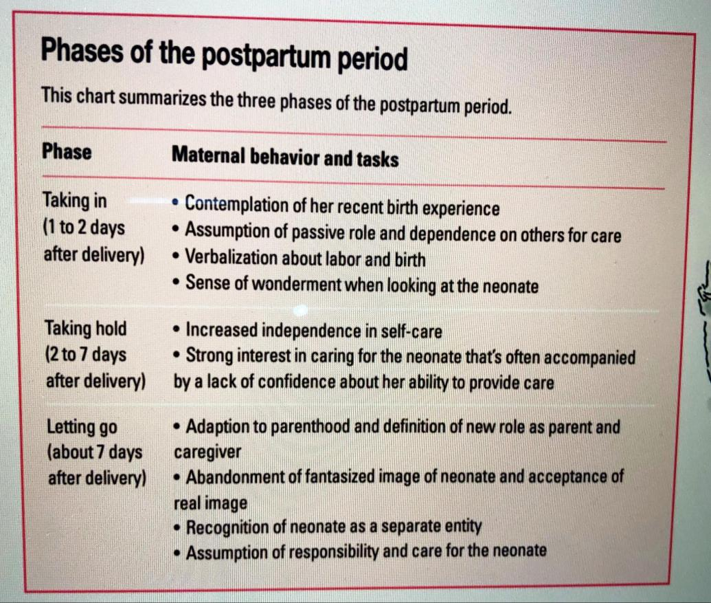 BUBBLE HED POSTPARTUM ASSESSMENT