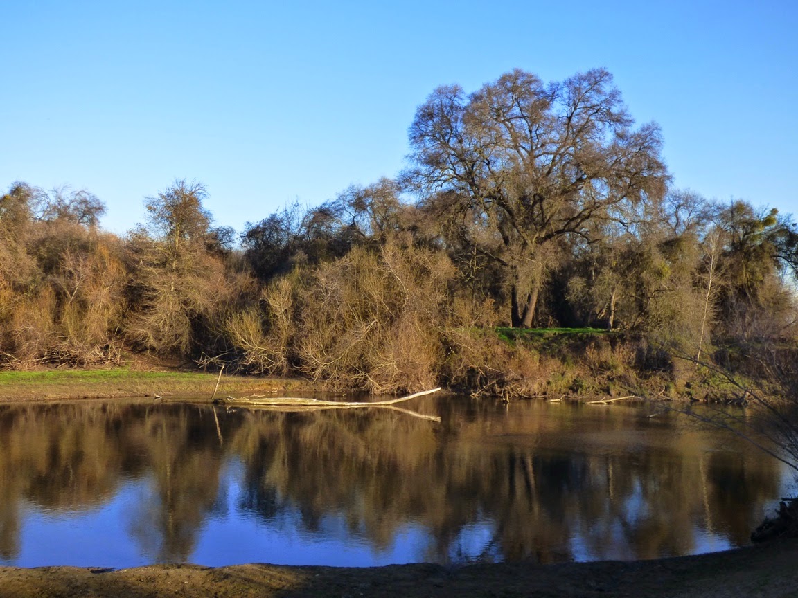 Geotripper: One of California's Most Precious and Endangered Ecosystems ...