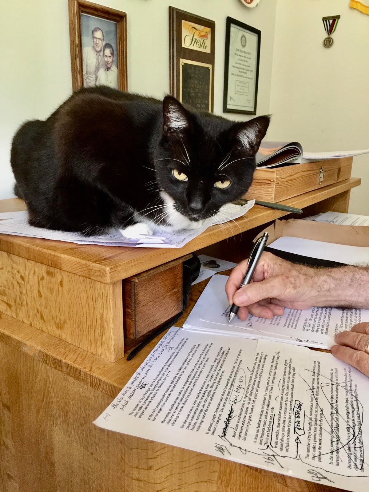 MARIETTE'S BACK TO BASICS: Manuscript Writing and Our Office Manager