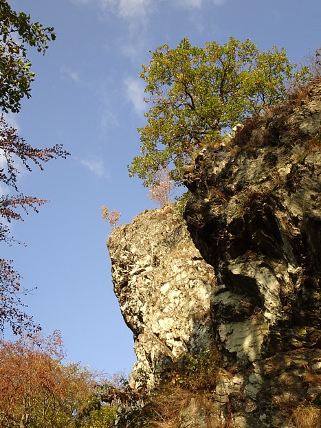 Taunus Wiesbaden: Kleiner Zacken und Co.