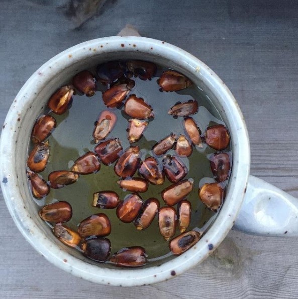 Hush Harbor Rootworks