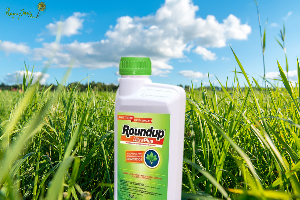 ROUNDUP ULTRA PLUS - Empresas de servicios: fontaneros, reformas ...