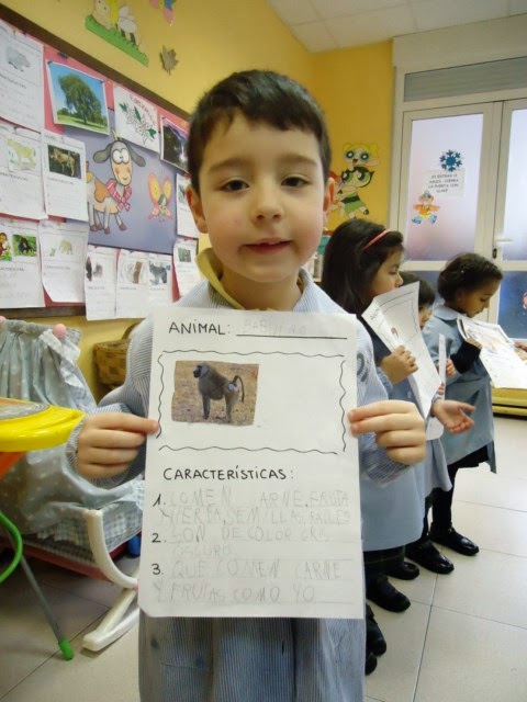 UNA VENTANA ABIERTA A NUESTRO MUNDO: Animales del Amazonas por 2º E