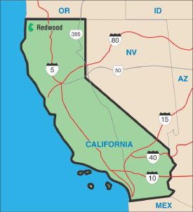 Redwoods NP (California) Natural Wonder of the U.S.